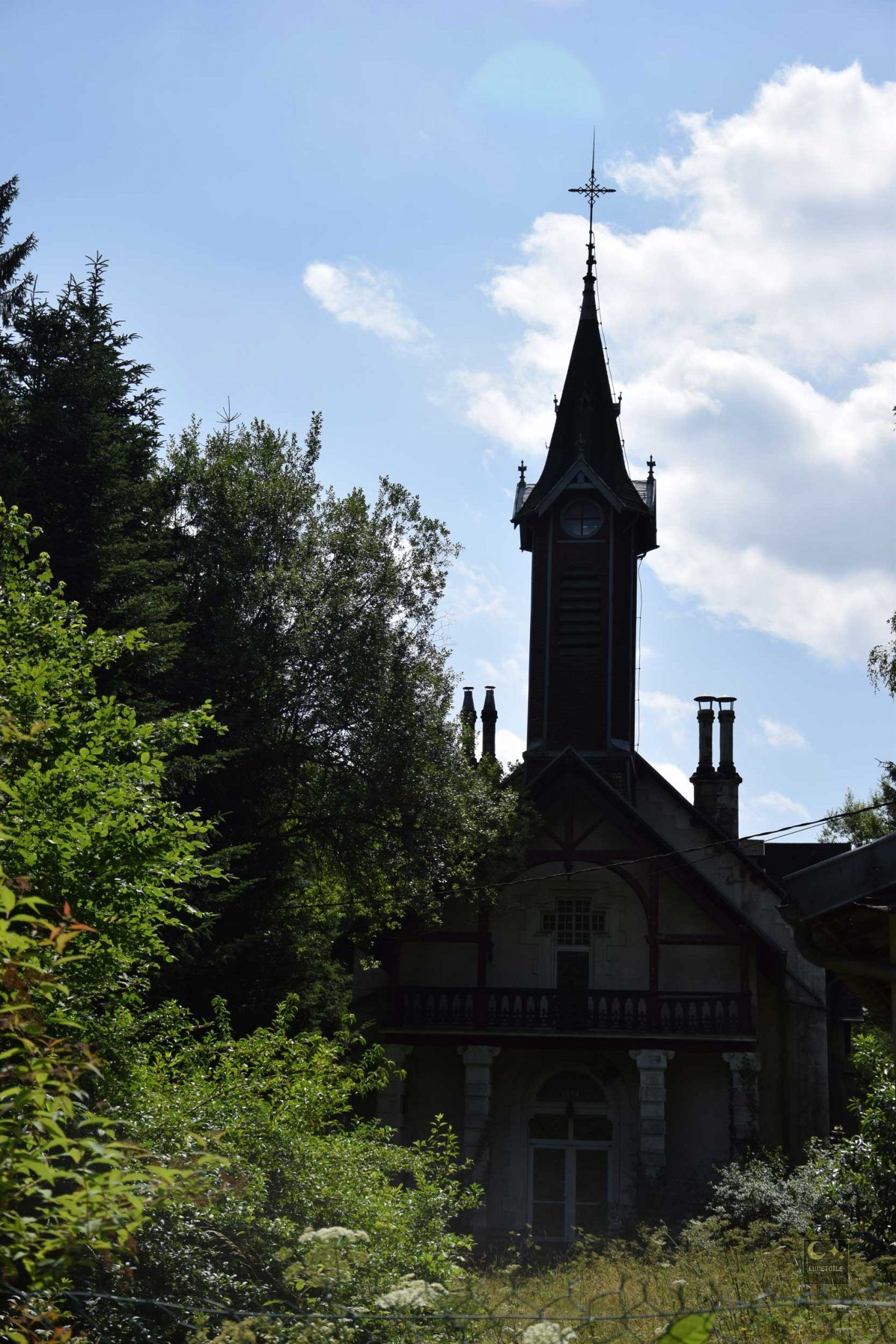 Arboretum de la Hutte – Claudon (88) – Lunetoile.com Mystères, légendes ...