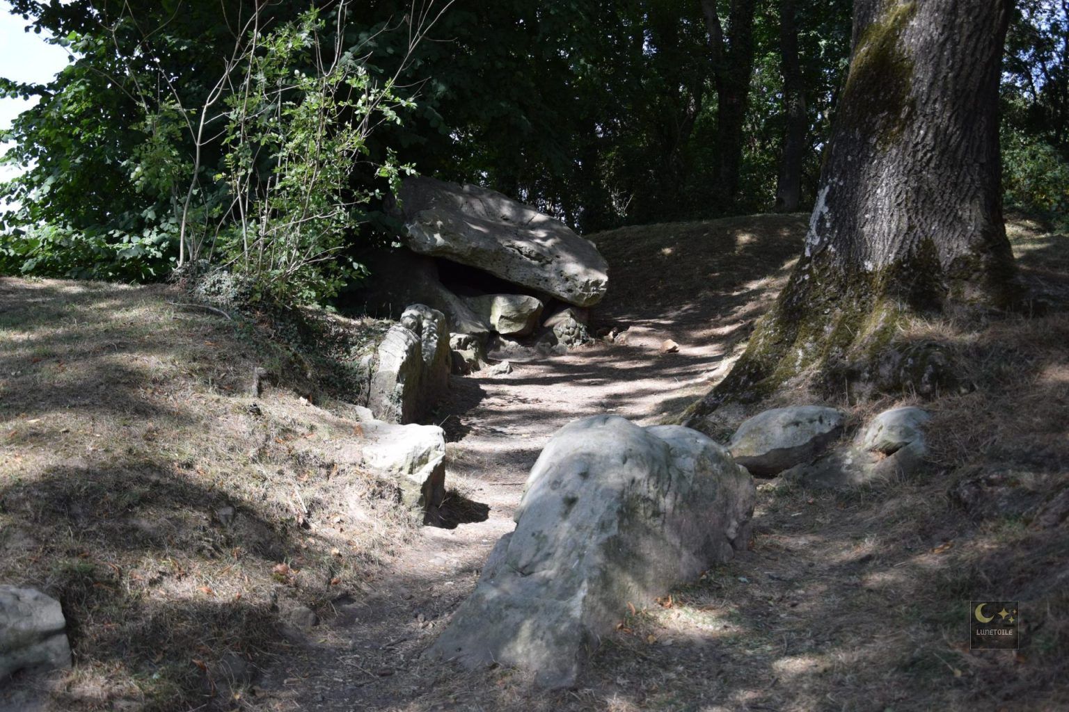 Dolmen de la Table des Fées – Fresnicourt-le-Dolmen (62) – Mystères ...